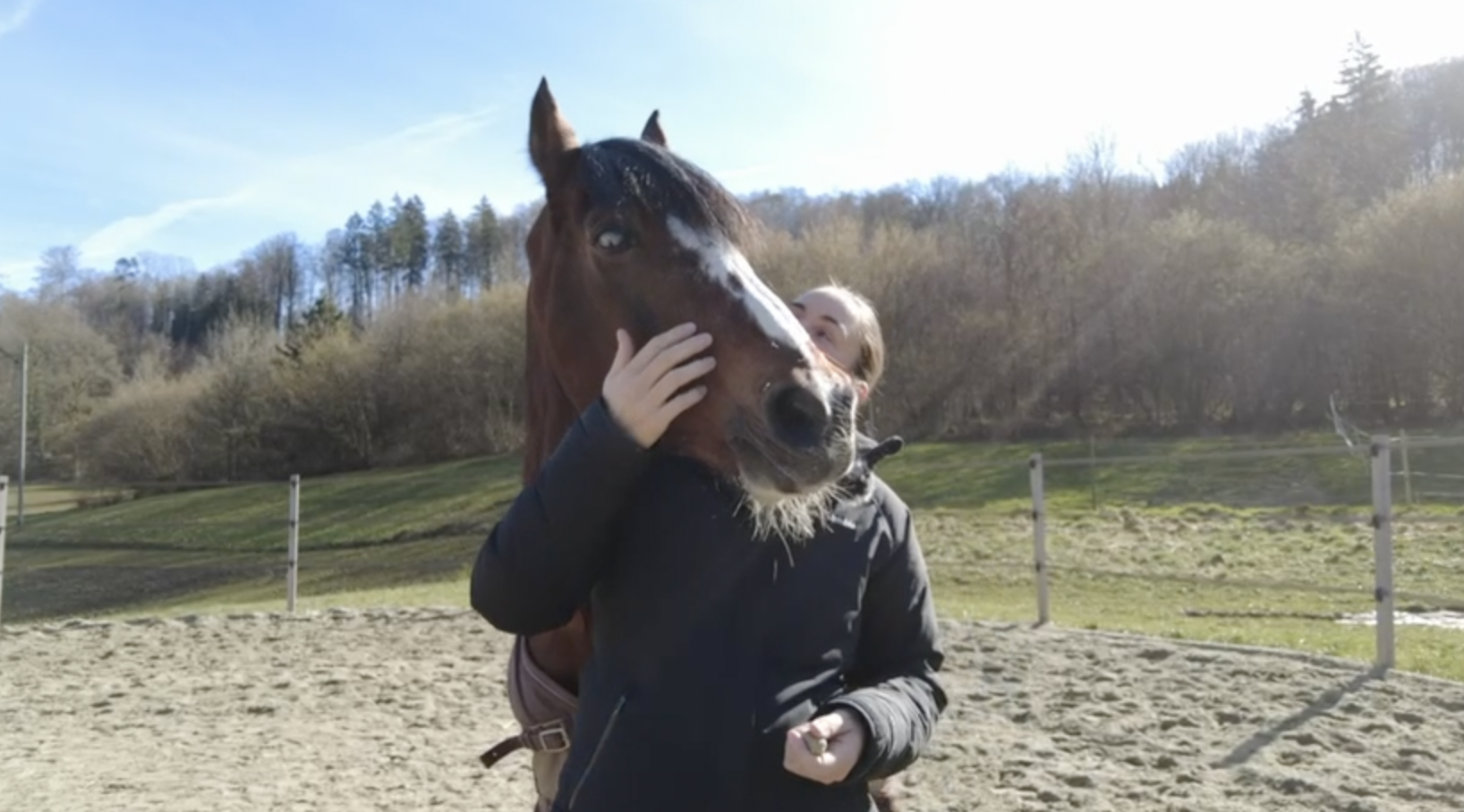 Machno Carwyn, le prince de Galles | Le Cavalier Romand