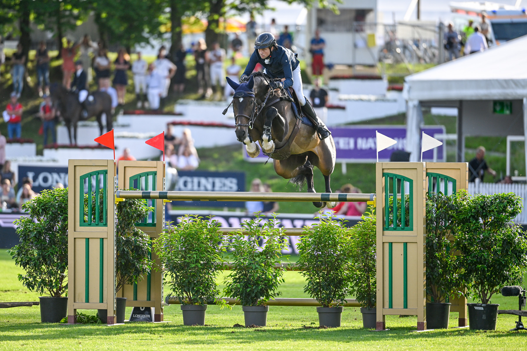 CSIO de St-Gall : Martin Fuchs s’offre le Grand Prix ! Bryan Balsiger ...