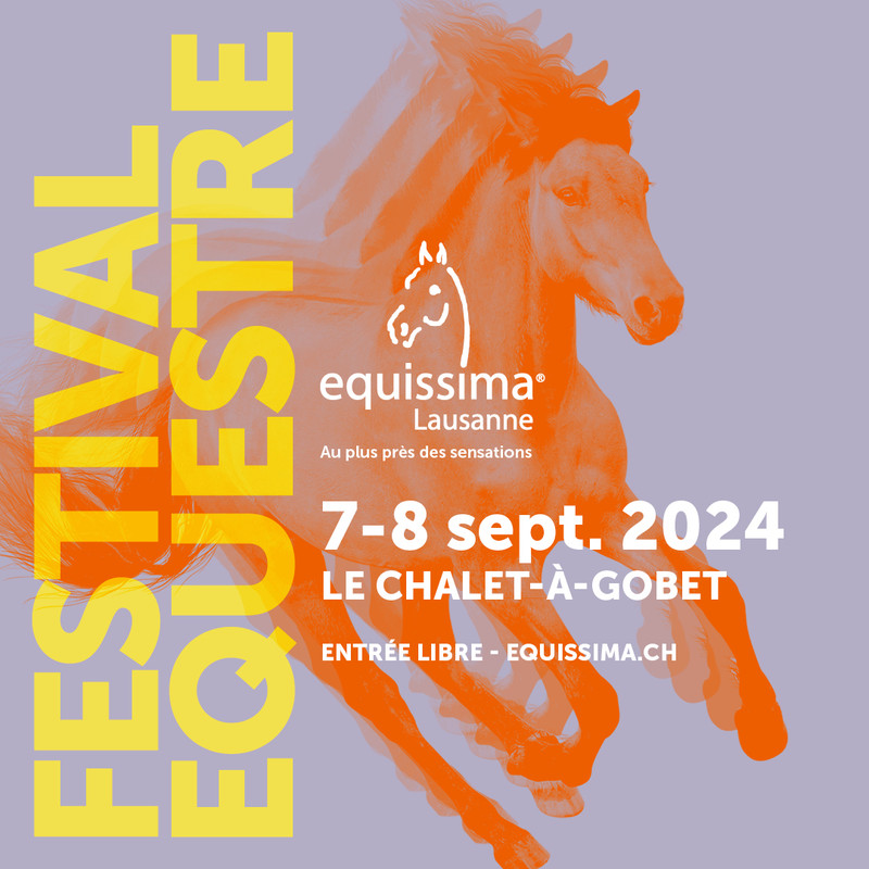 Festival équestre : sport, culture et fun en famille à equissima ...
