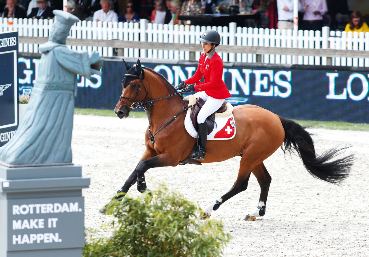 Bacardi VDL vendu à Jan Tops … | Le Cavalier Romand